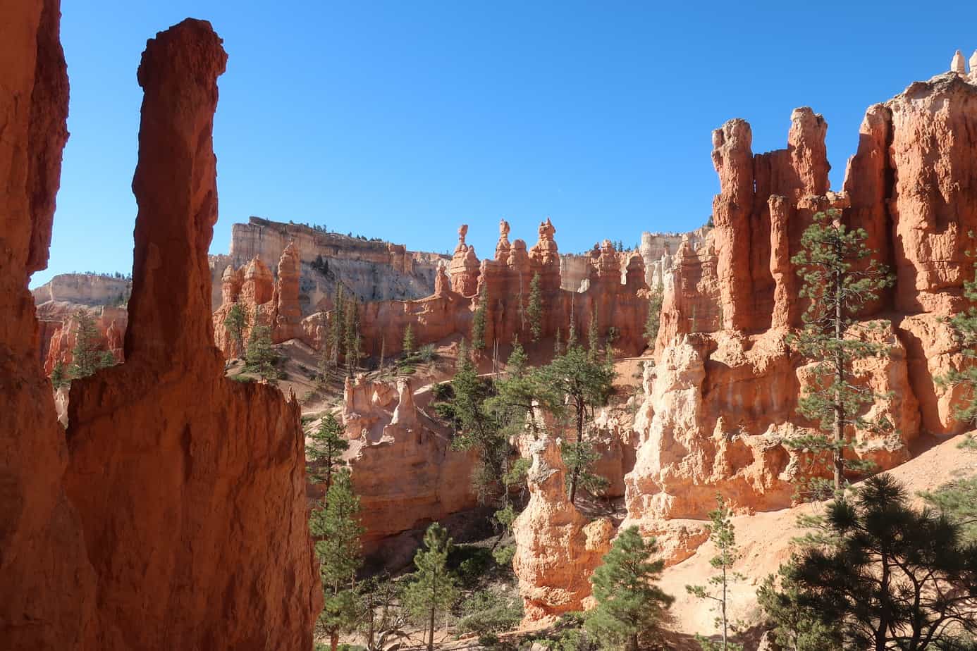 How to see Bryce Canyon in one day: a complete itinerary